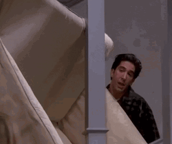 Friends Ross Geller Pivot! GIF | GIFDB.com