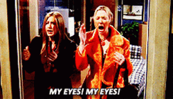 Friends Screaming Oh My Eyes GIF | GIFDB.com