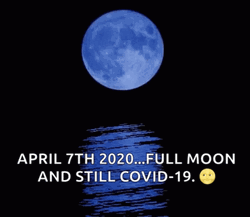 Full Moon Blue Color GIF | GIFDB.com
