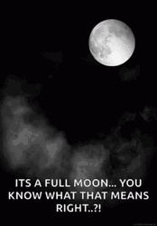 Full Moon Dark Night Meme GIF | GIFDB.com