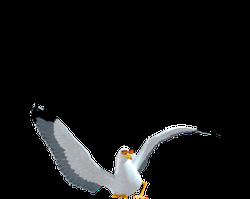 Funny Animated Seagull Party Dance Sticker GIF | GIFDB.com