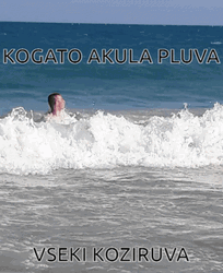 Funny Beach Man In The Shore Waves GIF | GIFDB.com