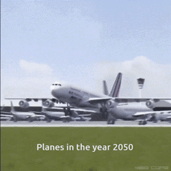 Funny Bird Plane 2050 GIF | GIFDB.com