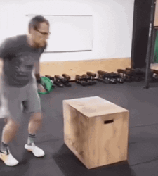 Funny Box Jumping Falling Fail GIF | GIFDB.com