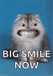 Funny Cat Big Smile Teeth GIF | GIFDB.com