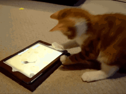 Funny Cat Catching Animated Mouse GIF | GIFDB.com