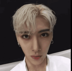 Funny Cat Ricky GIF | GIFDB.com