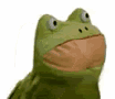 Funny Dancing Frog Head Shake Stare GIF | GIFDB.com