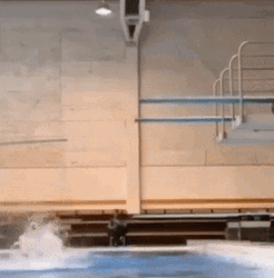 Funny Failed Dive Water Splash GIF | GIFDB.com