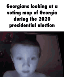 Funny Georgia Election Meme GIF | GIFDB.com