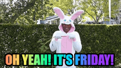 Funny Good Morning Happy Friday Bunny Suit GIF | GIFDB.com