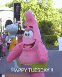 Funny Happy Tuesday Patrick Star And Spongebob GIF | GIFDB.com