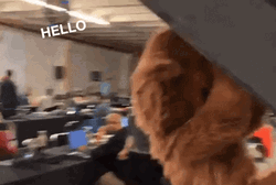 Funny Hello Bufficorn Clinging GIF | GIFDB.com