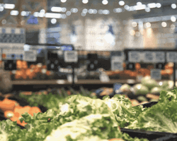 Funny Hello Pop Out Wave GIF | GIFDB.com