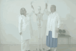 Funny Hello Skeleton Waving GIF | GIFDB.com