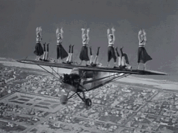 Funny How Dancers Got To Perform On Plane GIF | GIFDB.com
