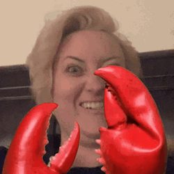 Funny Lobster Claw Pincher GIF | GIFDB.com