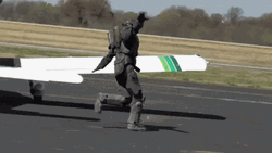 Funny Man Spreading His Arms Like Plane Running GIF | GIFDB.com