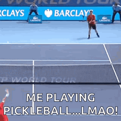 Funny Player Diving To Catch Pickleball GIF | GIFDB.com