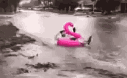 Funny Rain GIFs | GIFDB.com