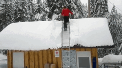 Funny Snow Ladder Fail GIF | GIFDB.com