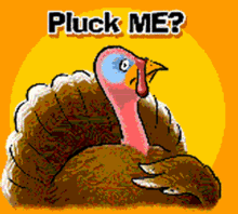 Funny Thanksgiving Angry Turkey Pun GIF | GIFDB.com