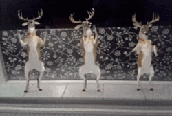 Funny Three Dancing Deers GIF | GIFDB.com