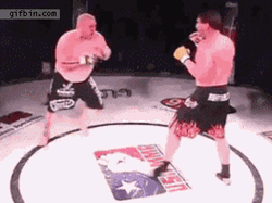 Funny Ufc Fighting Moves GIF | GIFDB.com