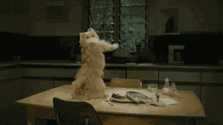 Furry Funny Dance On The Table GIF | GIFDB.com