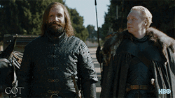 Game Of Thrones Brienne And Sandor Walking GIF | GIFDB.com