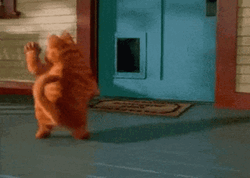 Garfield Dancing Like No One's Watching GIF | GIFDB.com