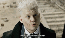 Gellert Grindelwald You Can Hold Me GIF | GIFDB.com