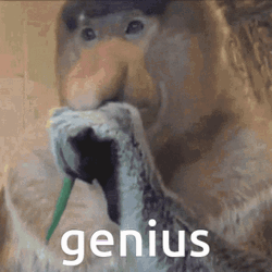 Genius Monkey Big Nose Eating Meme GIF | GIFDB.com