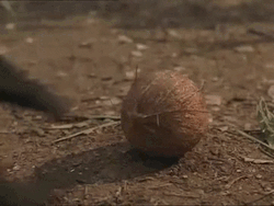 George Of The Jungle Captive GIF | GIFDB.com