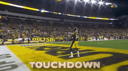 George Pickens Touch Down GIF | GIFDB.com