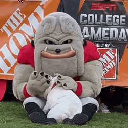 Georgia Bulldogs Football Uga Mascot GIF | GIFDB.com