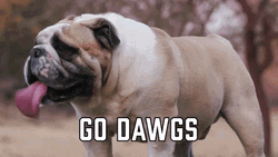 Georgia Bulldogs Uga Go Dawgs GIF | GIFDB.com