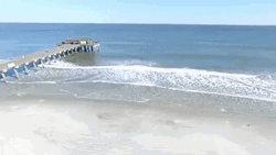 Georgia Small Boardwalk GIF | GIFDB.com