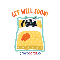 Get Well Soon Cat Sticker GIF | GIFDB.com