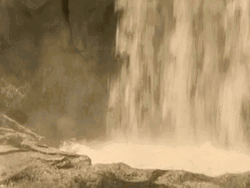 Getting Away From The Flooding GIF | GIFDB.com