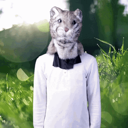 Ghost Face Reveal GIF | GIFDB.com