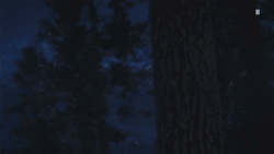 Ghostface Jumpscare GIF | GIFDB.com