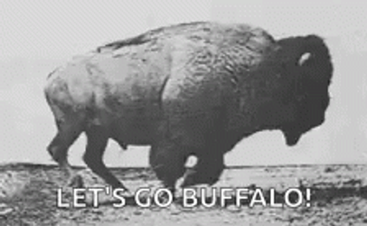 Giant Buffalo Running Lets Go Buffalo GIF | GIFDB.com