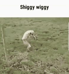 Gibbon Silly Walk GIF | GIFDB.com