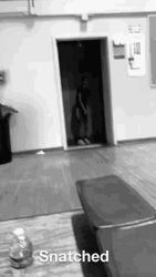 Girl Got Snatch GIF | GIFDB.com