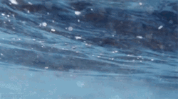 Girl On Small Ocean Waves GIF | GIFDB.com