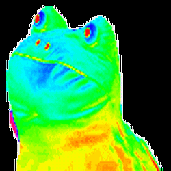 Glowing Rainbow Frog Dancing GIF | GIFDB.com