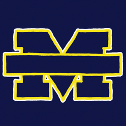 Go Blue Go Vote GIF | GIFDB.com