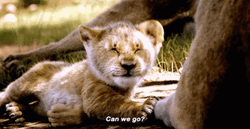 Go Lions Bonding GIF | GIFDB.com