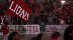 Go Lions Flag GIF | GIFDB.com